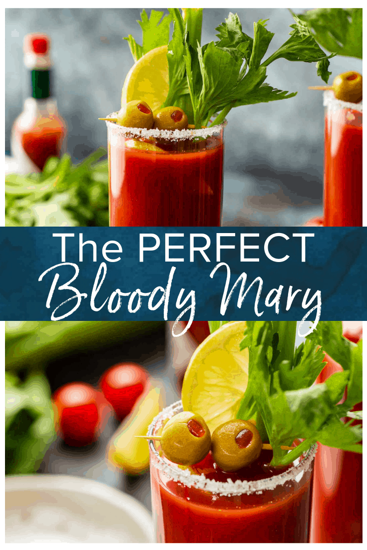 Bloody Mary Recipe Powdered Beef Boullion - Turner Frok1948
