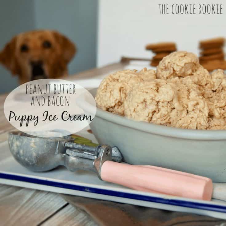 Homemade Dog Ice Cream (Peanut Butter Bacon) - The Cookie Rookie®