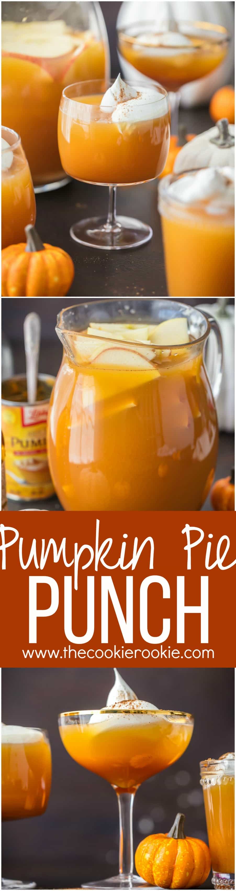 Pumpkin Pie Punch - The Cookie Rookie®