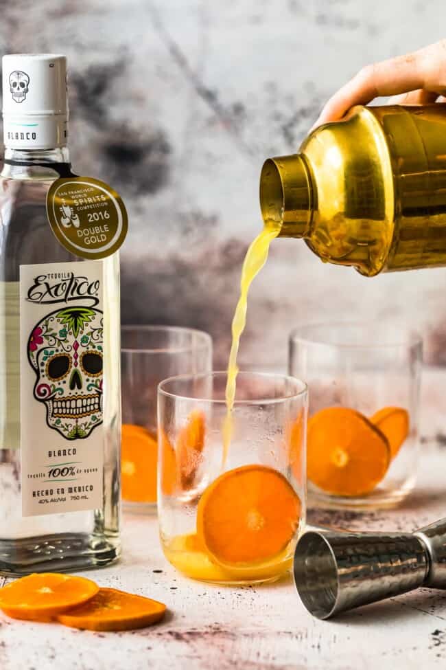 Fun Day of the Dead Cocktail (Muertes Dia) - The Cookie Rookie®