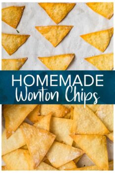 Homemade Wonton Chips - The Cookie Rookie®