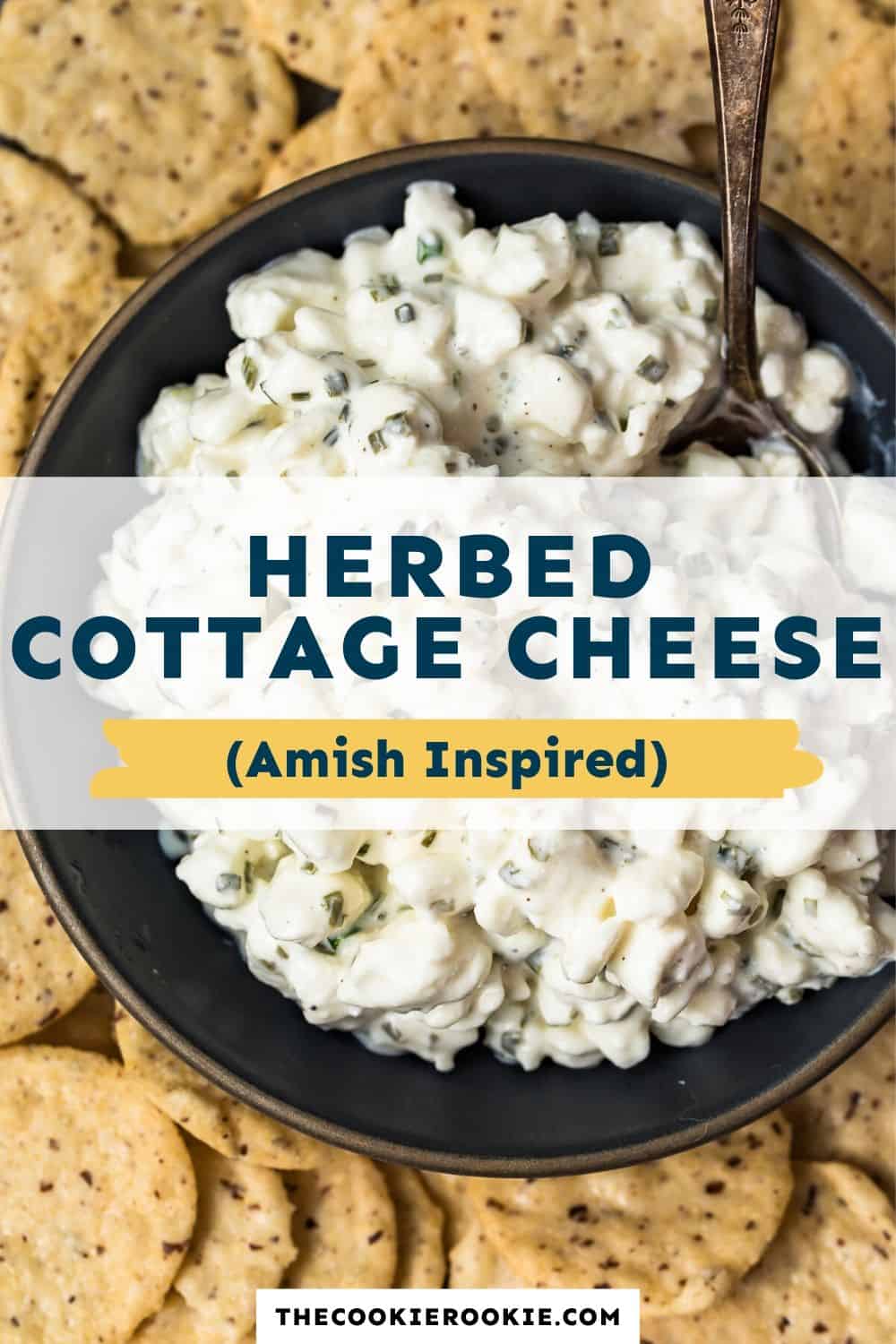 Cottage Cheese Recipe (Amish Inspired) - The Cookie Rookie®