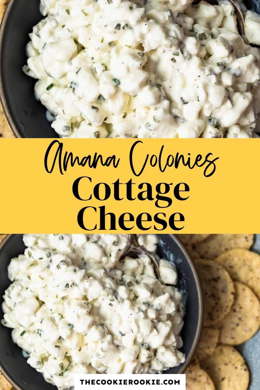 Cottage Cheese Recipe (Amish Inspired) - The Cookie Rookie®