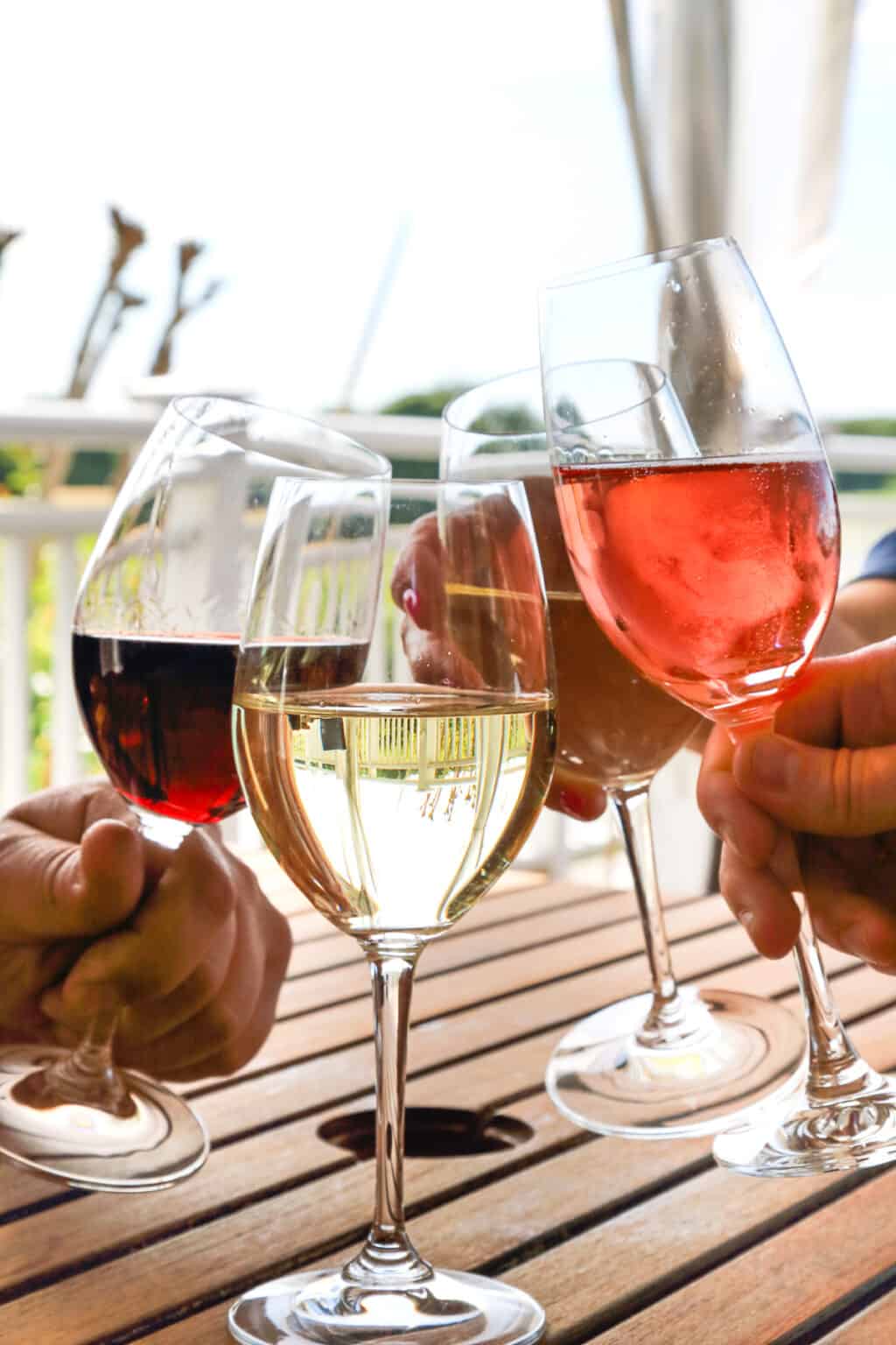 Wine 101: Types of Wine & Basics for Beginners - The Cookie Rookie®