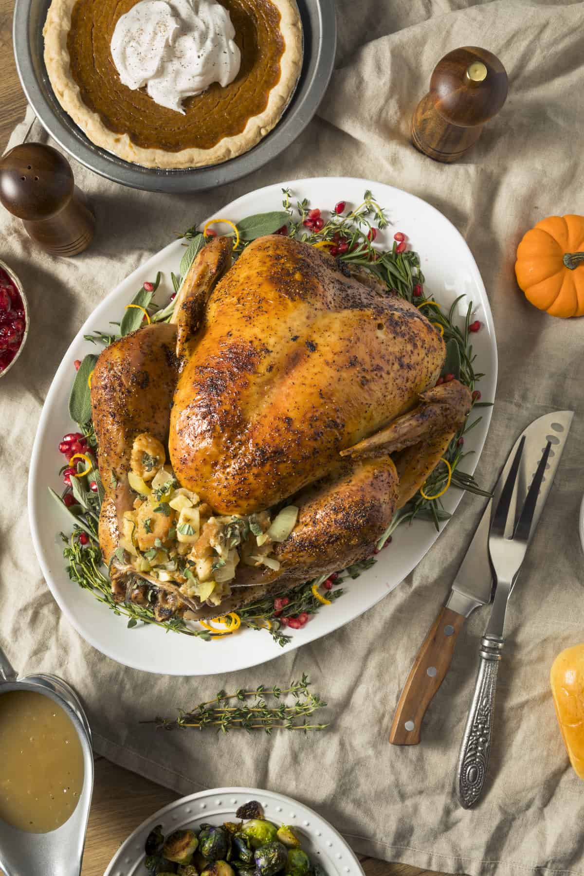 Easy Thanksgiving Turkey - The Cookie Rookie®