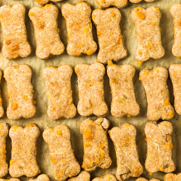 Cheese Dog Treats Recipe - The Cookie Rookie®