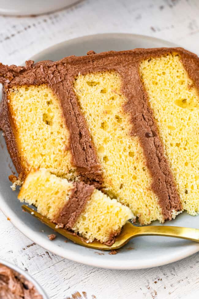 Yellow Cake with Milk Chocolate Buttercream Recipe - The Cookie Rookie®