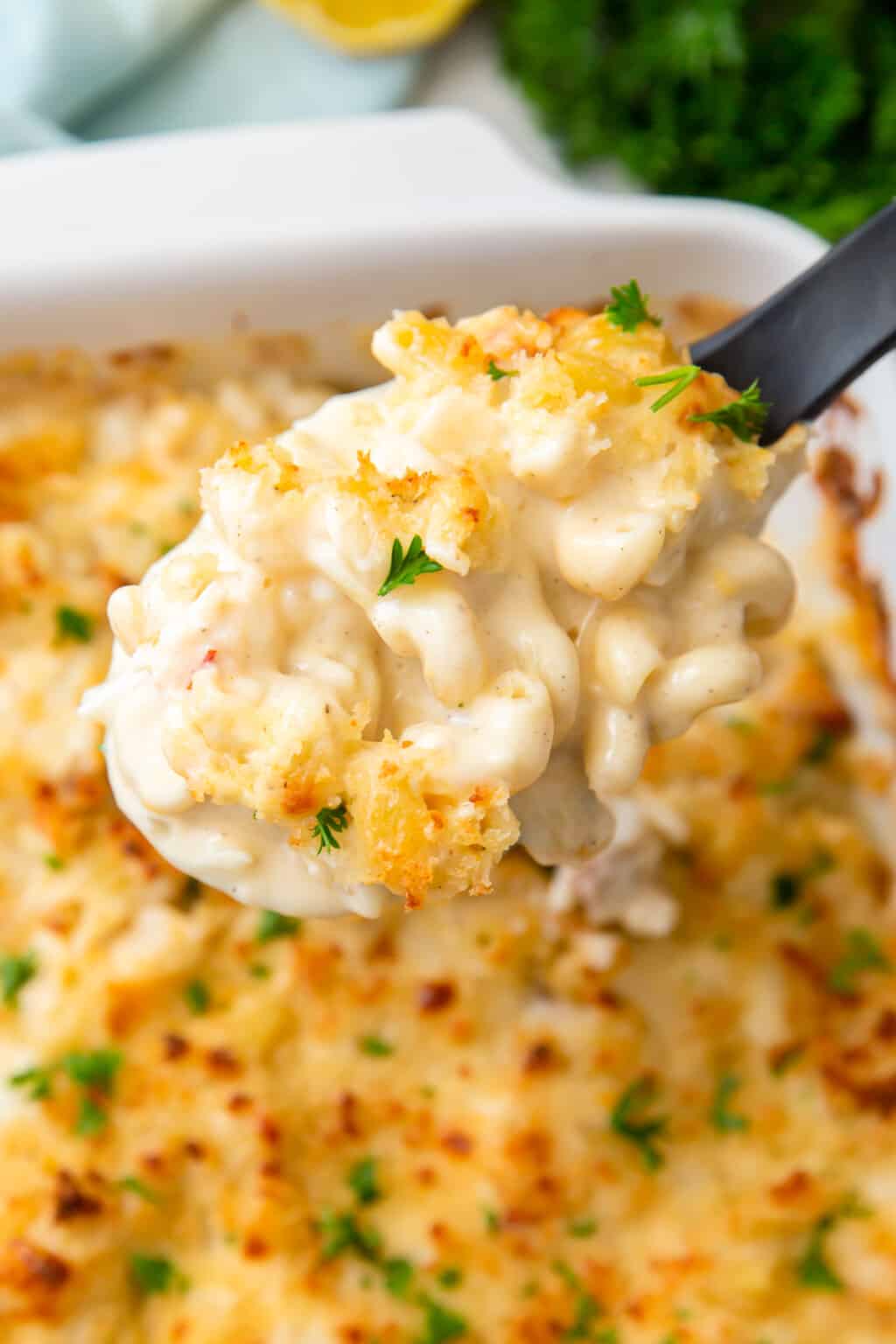Lobster Mac and Cheese - The Cookie Rookie®
