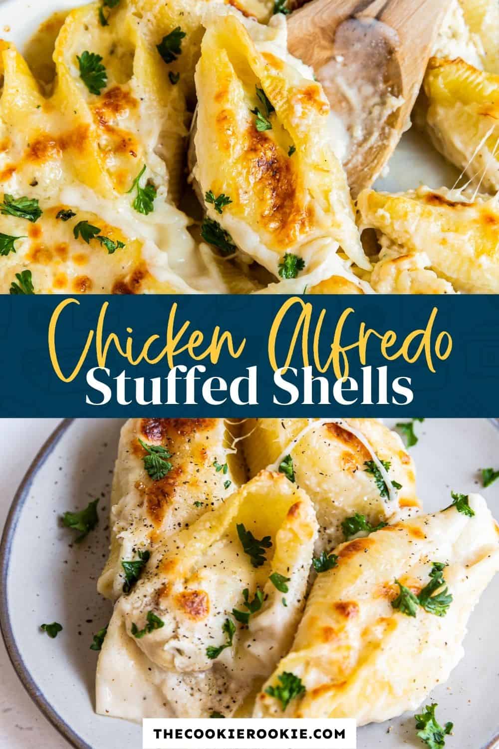 Chicken Alfredo Stuffed Shells - The Cookie Rookie®