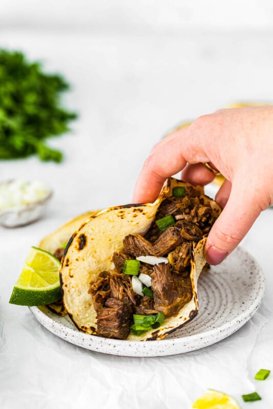 Crockpot Beef Carnitas Recipe - The Cookie Rookie®