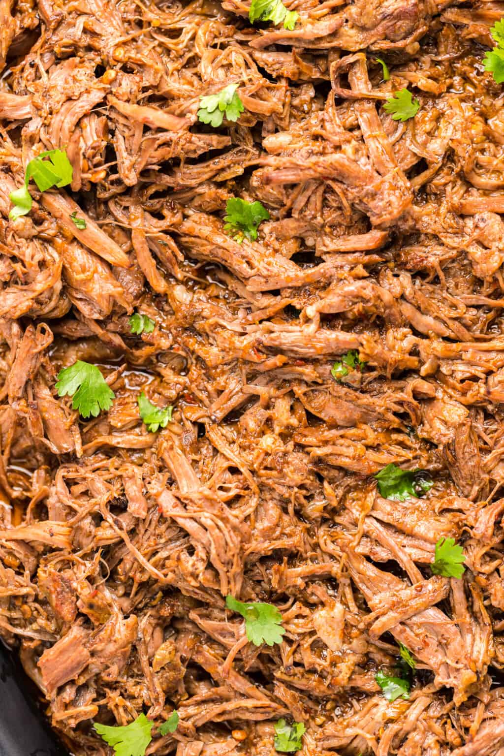 Crockpot Barbacoa Beef Recipe - The Cookie Rookie®