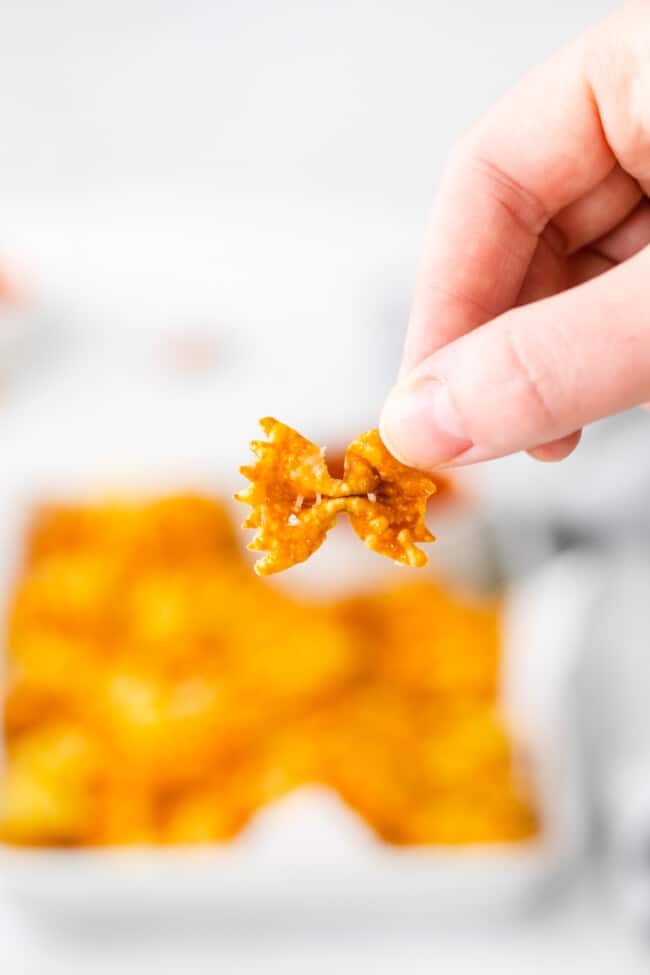 Garlic Parmesan Pasta Chips Recipe - The Cookie Rookie®