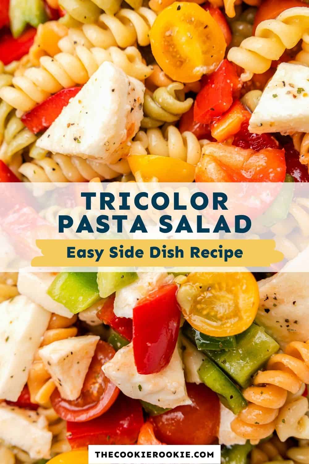 Tri-Color Pasta Salad Recipe - The Cookie Rookie®