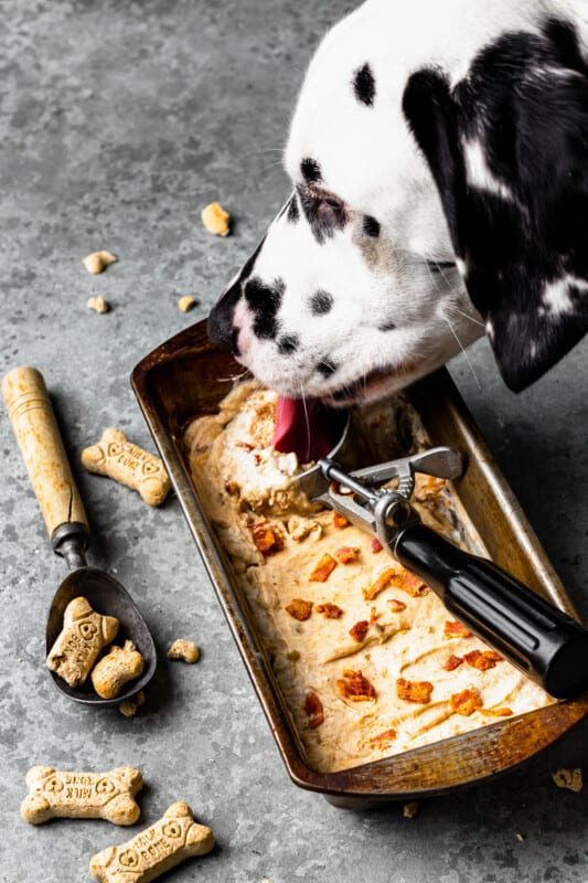 Dog Ice Cream Recipe - The Cookie Rookie®