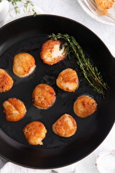 Seared Scallops (How to Sear Scallops) - The Cookie Rookie®