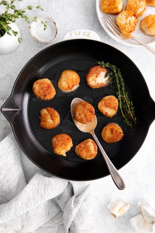 Seared Scallops (How to Sear Scallops) - The Cookie Rookie®