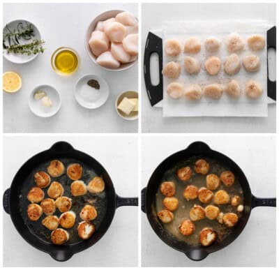Seared Scallops (How to Sear Scallops) - The Cookie Rookie®