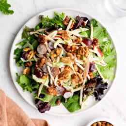 Waldorf Salad Recipe - The Cookie Rookie®