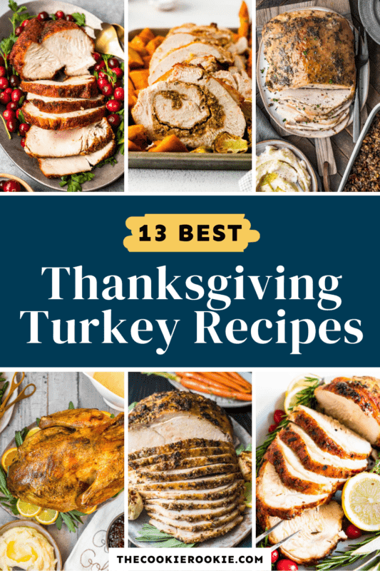 15 Unique Turkey Recipes for Thanksgiving - The Cookie Rookie®