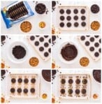 Oreo Spiders Recipe - The Cookie Rookie®