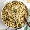 Pesto Cavatappi Recipe - The Cookie Rookie®