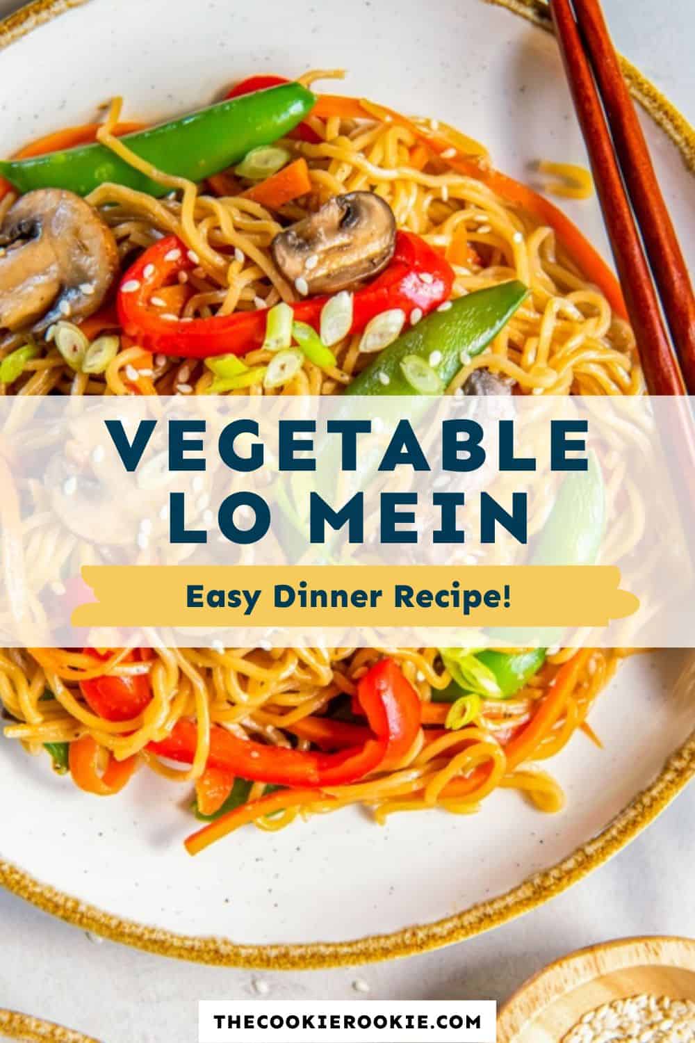 Vegetable Lo Mein Recipe - The Cookie Rookie®