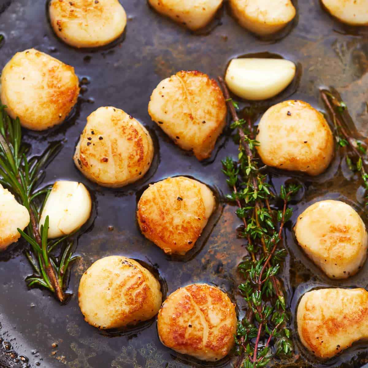 Cooked Scallops
