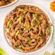 Beef Bulgogi Recipe - The Cookie Rookie®