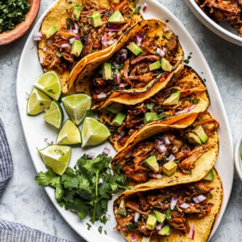 Carnitas Recipe - The Cookie Rookie®