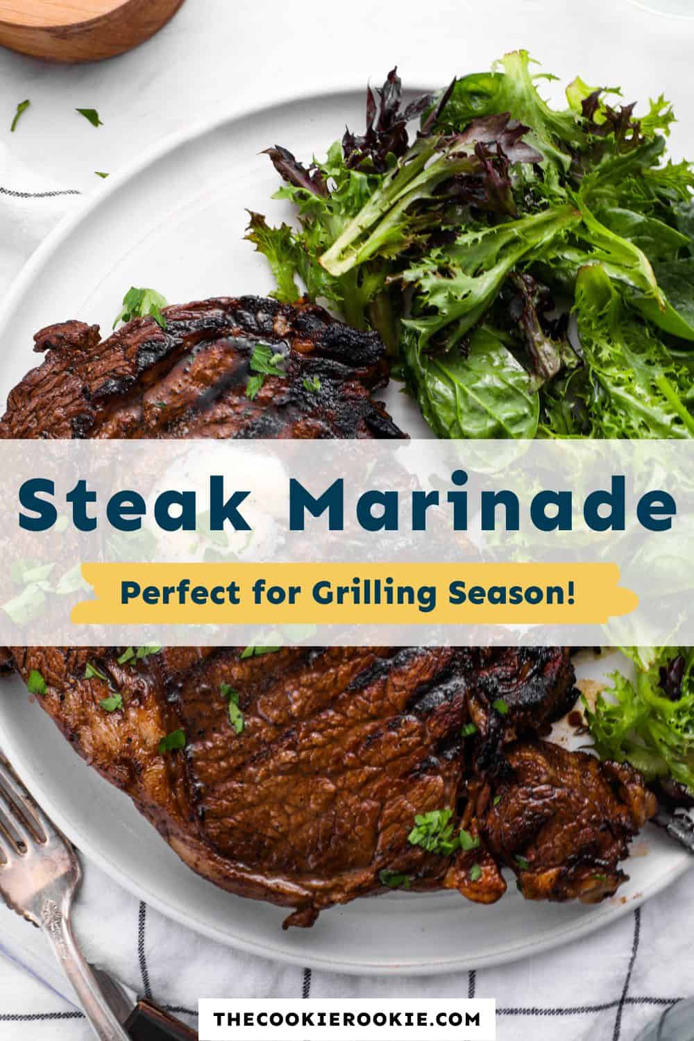 Steak Marinade Recipe - The Cookie Rookie®