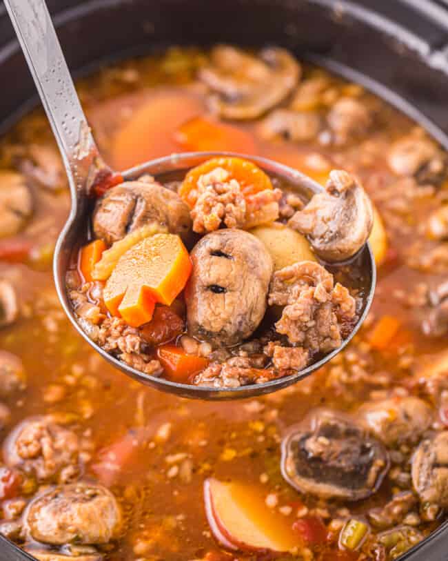 Slow Cooker Witches Brew Stew - Recipe expert