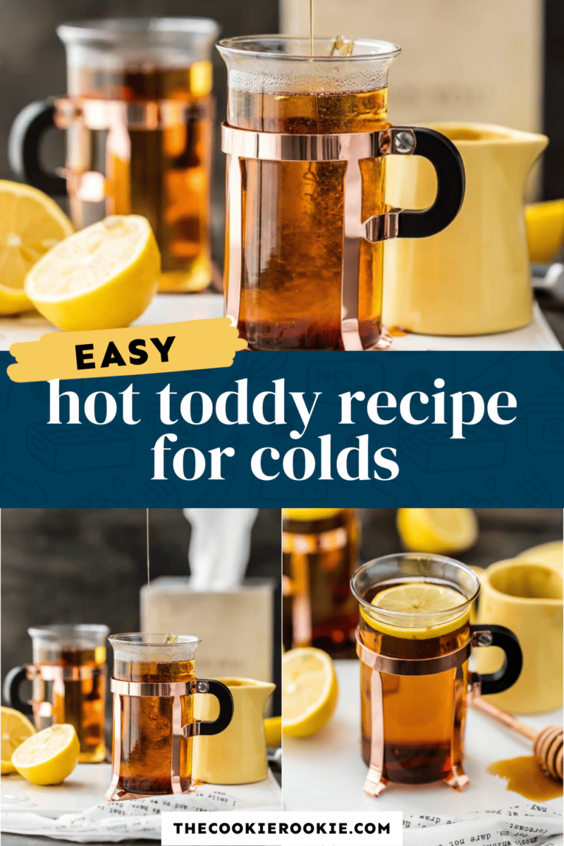 Hot Toddy Recipe for Cold (How to Make a Hot Toddy VIDEO)