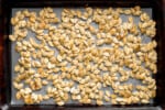 Roasted Pumpkin Seeds Recipe - The Cookie Rookie®