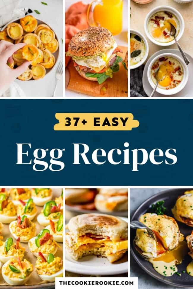 37 Easy Egg Recipes - Recipe expert