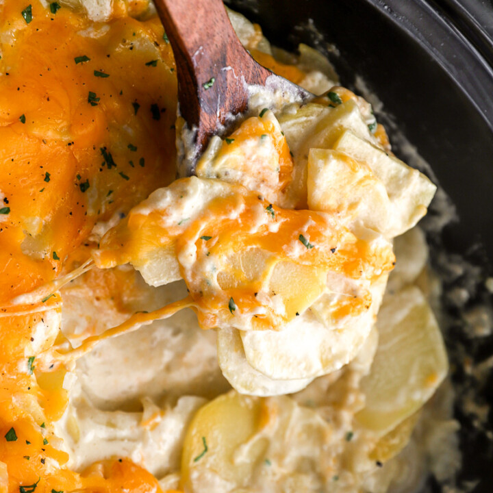 Crockpot Scalloped Potatoes Recipe - The Cookie Rookie®